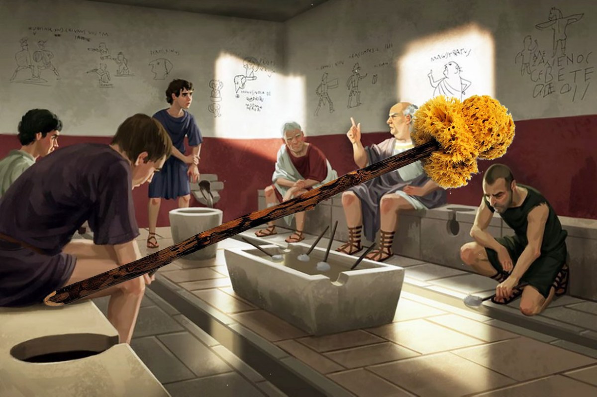 Tutto iniziò con alcune foglie o sabbia passando per lo Xylospongium o ...