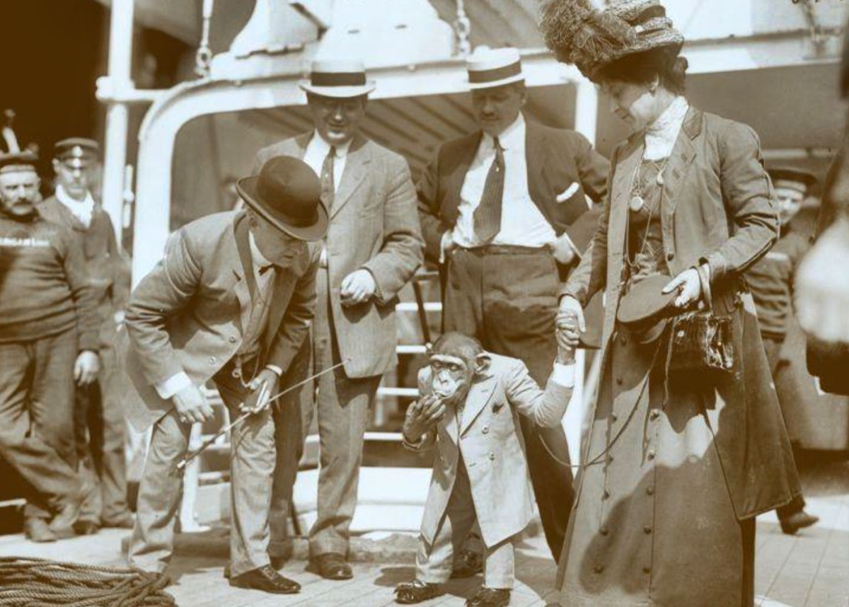 Attenti alle maschere, proprie e altrui. Attenti alle metamorfosi… o ...